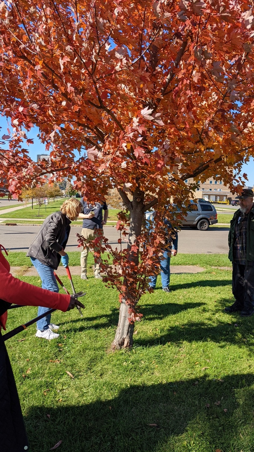 Fall 2022 Workshop Planting Buffalo Green Fund